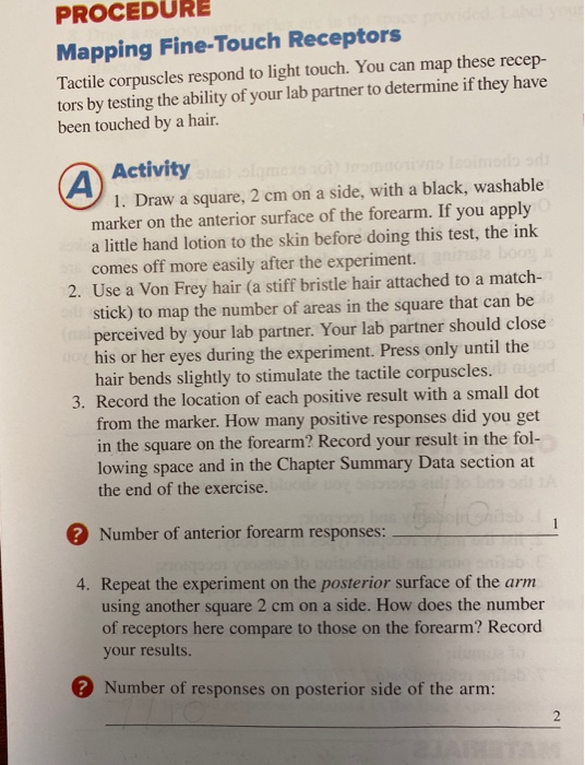 PROCEDURE Mapping Fine-Touch Receptors Tactile | Chegg.com