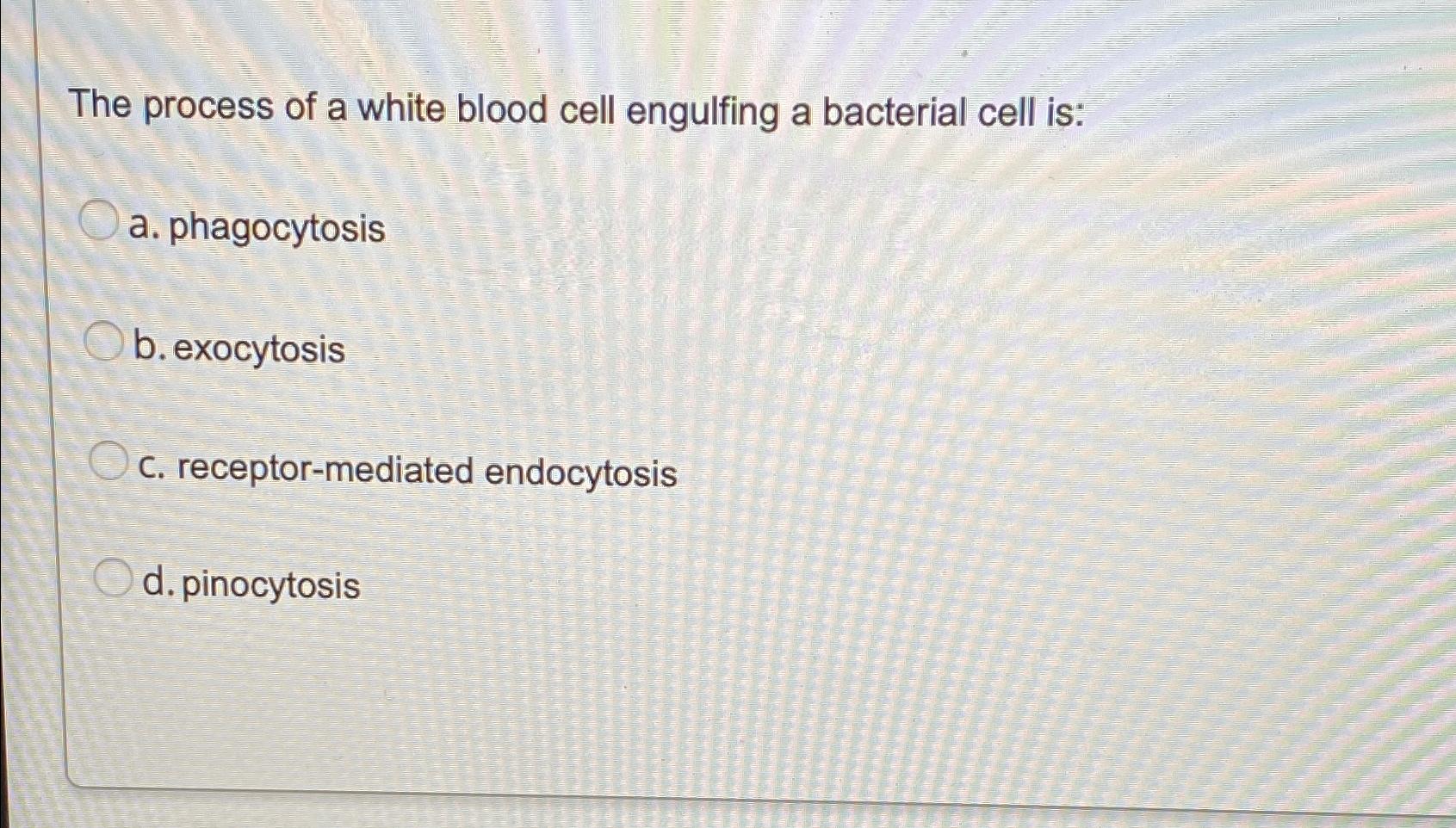 Solved The process of a white blood cell engulfing a | Chegg.com