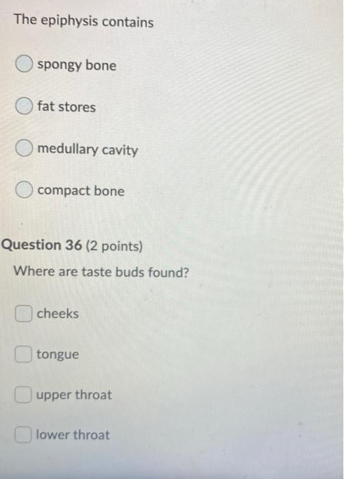 Solved The epiphysis contains spongy bone fat stores | Chegg.com