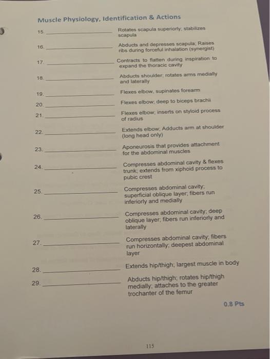 Solved Muscle Physiology, Identification & Actions LAB | Chegg.com