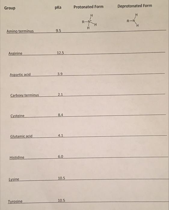 Solved Group pka Protonated Form Deprotonated Form H R-N: | Chegg.com