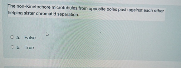 Solved The non-Kinetochore microtubules from opposite poles | Chegg.com
