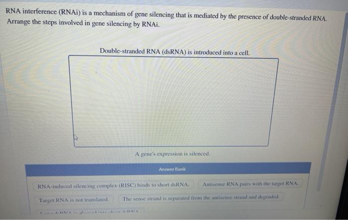 Solved RNA interference (RNAI) is a mechanism of gene | Chegg.com