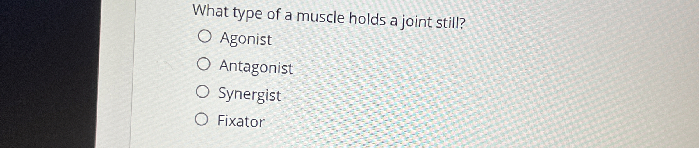 Solved What type of a muscle holds a joint | Chegg.com