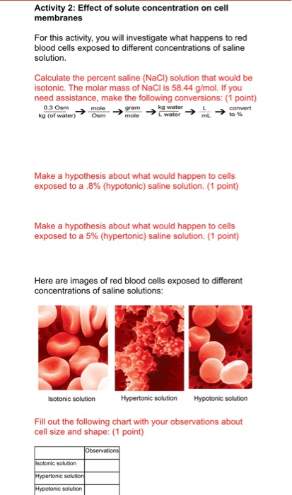Solved Activity 2: Effect of solute concentration on cell | Chegg.com