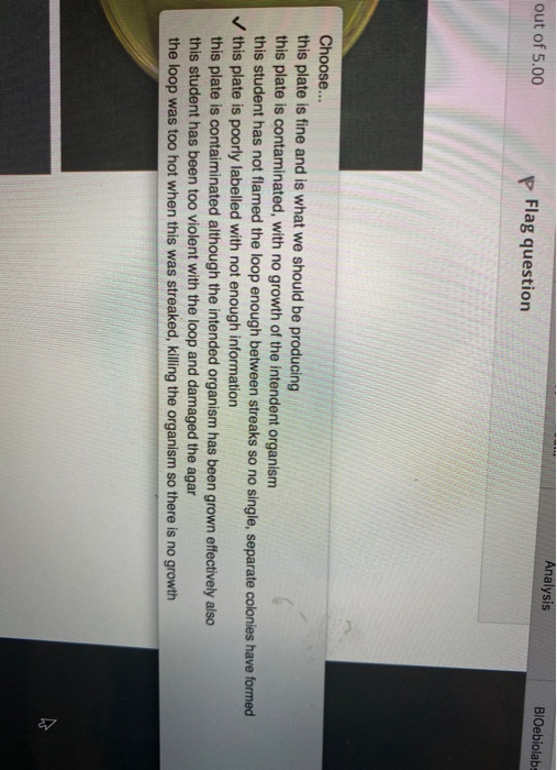 Solved from these option could you plewse tell me the | Chegg.com