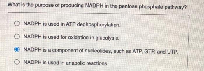 Solved What is the purpose of producing NADPH in the pentose | Chegg.com