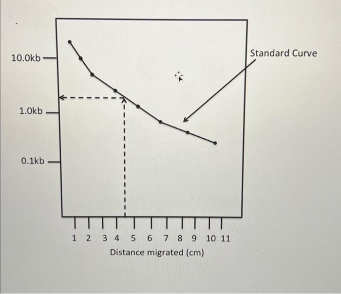 Solved please draw a log linear graph with standart | Chegg.com
