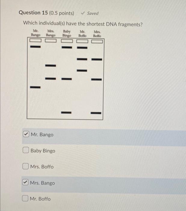 Solved Which individual(s) have the shortest DNA fragments? | Chegg.com