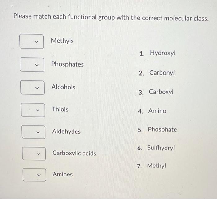 Solved Please match each functional group with the correct | Chegg.com