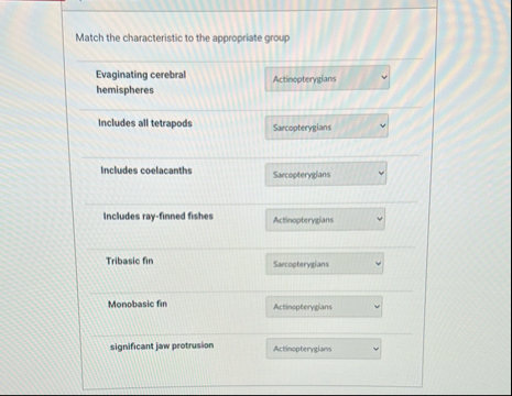 Solved Match the characteristic to the appropriate | Chegg.com