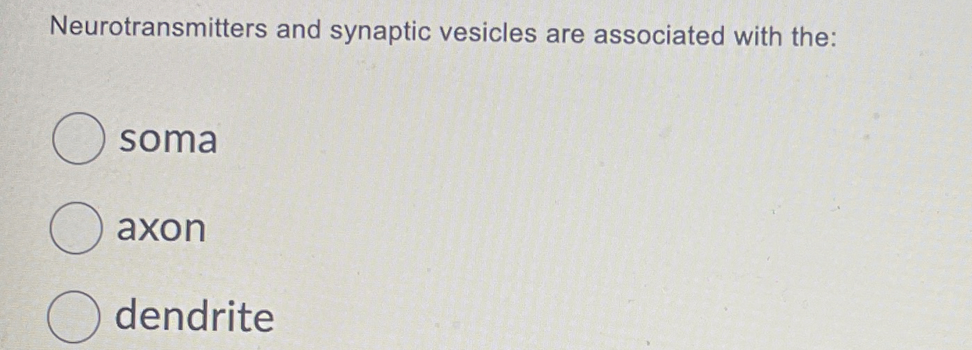 Solved Neurotransmitters and synaptic vesicles are | Chegg.com