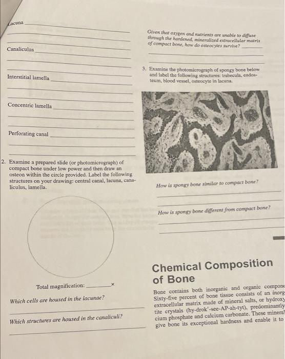 Solved Acuna Given that orygon and trients are unable to | Chegg.com