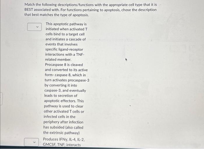 Solved Match the following descriptions/functions with the | Chegg.com