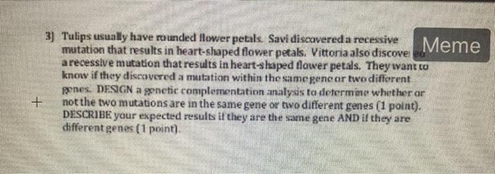 Solved 3) Tulips usually have rounded Hower petals. Savi | Chegg.com