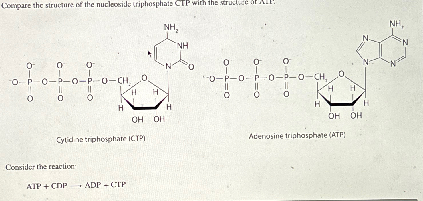 Solved Compare the structure of the nucleoside triphosphate | Chegg.com