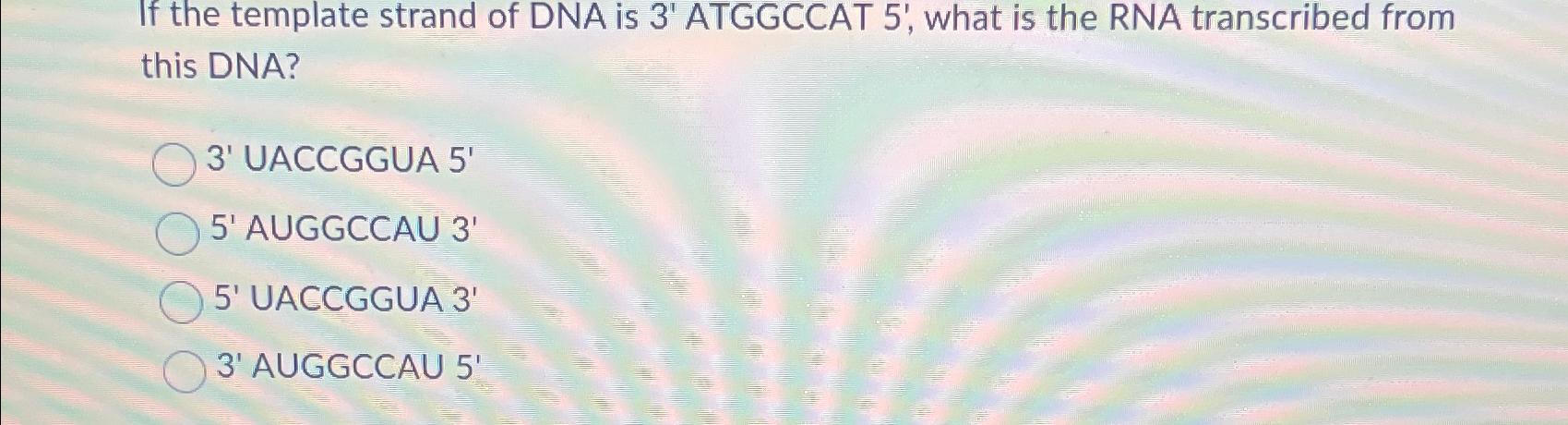 Solved If the template strand of DNA is 3' ﻿ATGGCCAT 5', | Chegg.com
