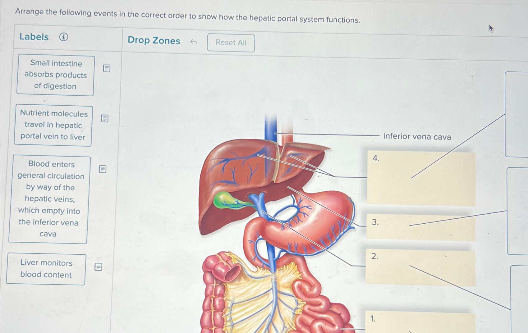 Solved Arrange the following events in the correct order to | Chegg.com