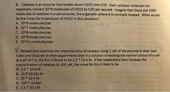 Solved 8. Catalase is an enzyme that breaks down H2O2 into | Chegg.com