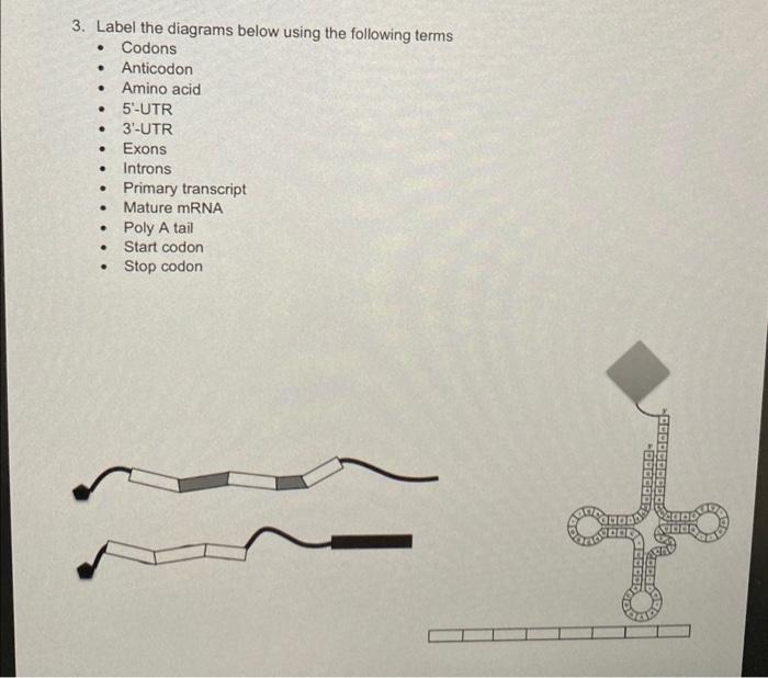 Solved 3. Label the diagrams below using the following terms | Chegg.com