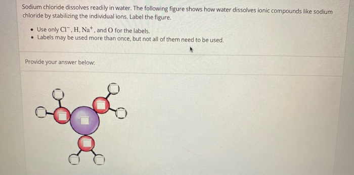Solved Sodium chloride dissolves readily in water. The | Chegg.com