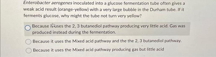 Solved Enterobacter aerogenes inoculated into a glucose | Chegg.com