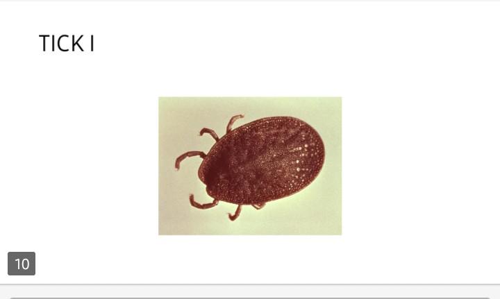 Solved TICK B: TICK C: TICK D: TICK F: TICK G TICKH TICK I | Chegg.com