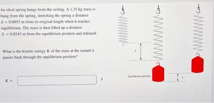 Solved An ideal spring hangs from the ceiling. A 1.35 kg | Chegg.com