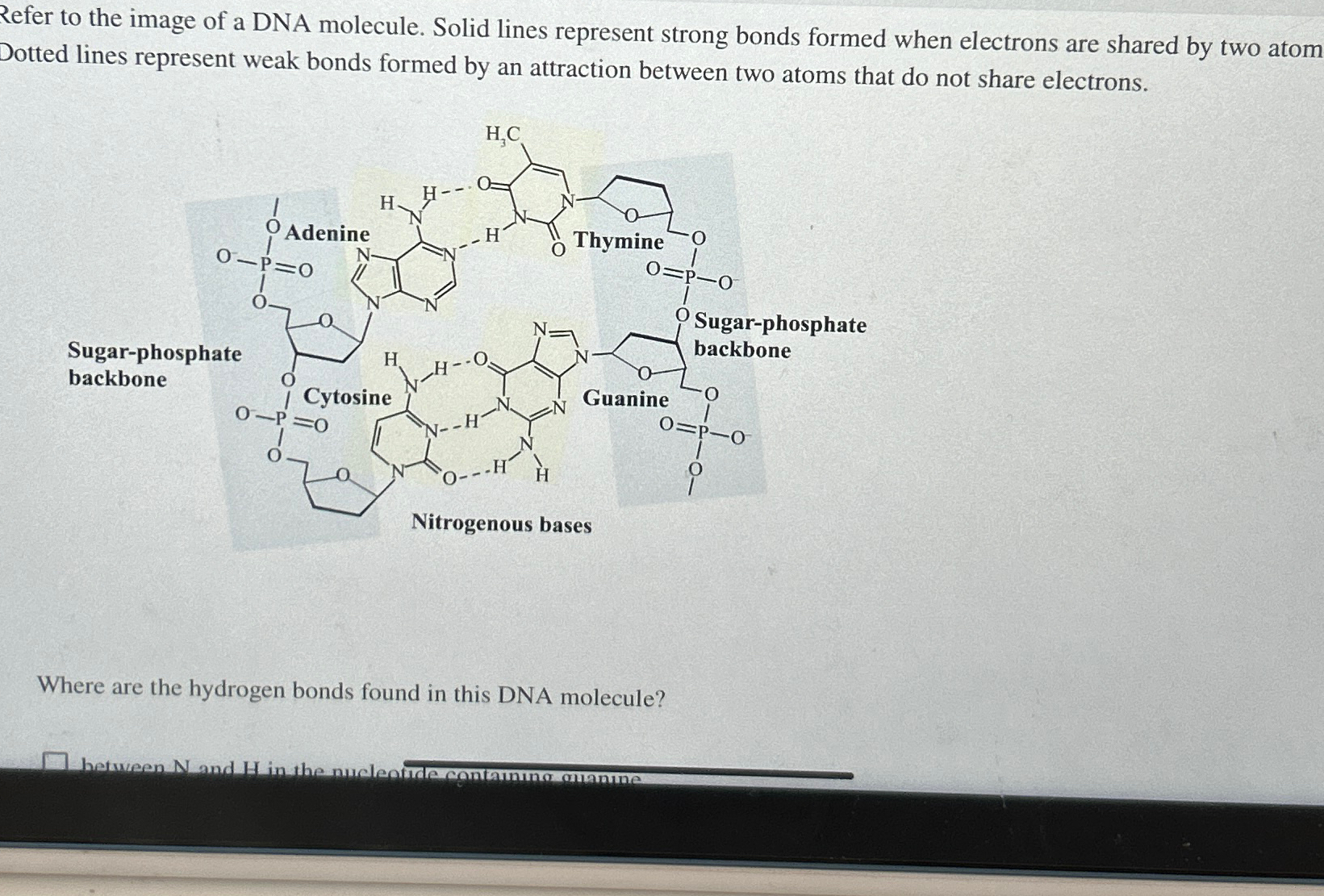 Solved Refer to the image of a DNA molecule. Solid lines | Chegg.com