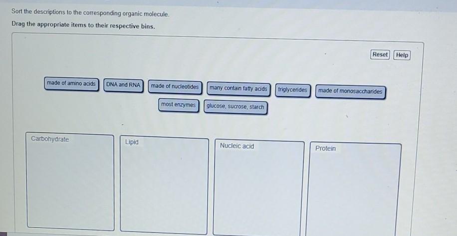 Solved Sort the descriptions to the corresponding organic | Chegg.com