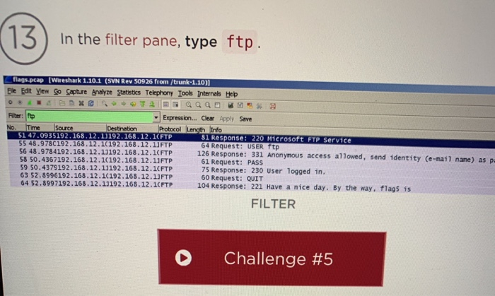 (13) In the filter pane, type ftp. flags.pcap | Chegg.com