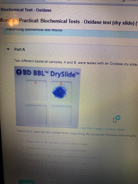 Solved Biochemical Test - Oxidase Micro' al Practical: | Chegg.com