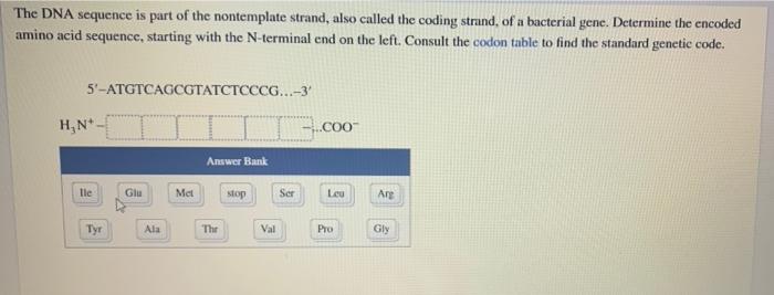 Solved The DNA sequence is part of the nontemplate strand, | Chegg.com