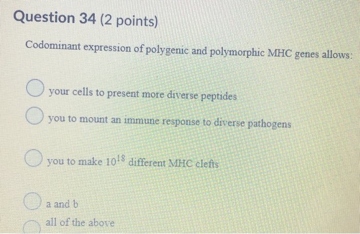 Solved Question 34 (2 points) Codominant expression of | Chegg.com