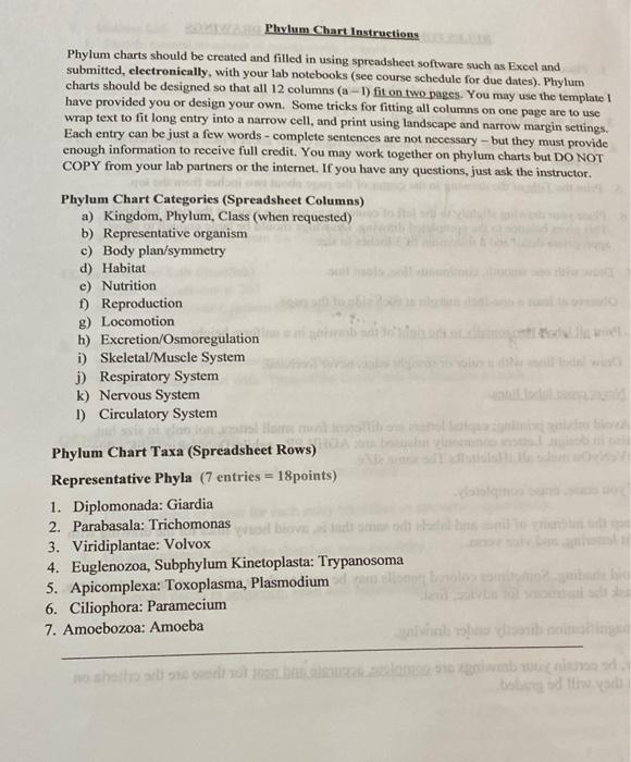 Solved Phylum Chart Instructions Phylum charts should be | Chegg.com