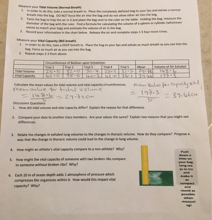 Solved Measure your Tidal Volume (Normal Breath) 1. In order | Chegg.com
