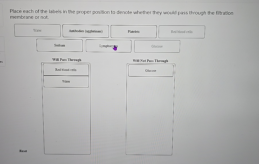 Solved Place each of the labels in the proper position to | Chegg.com