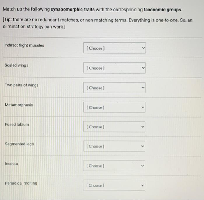 Solved Match up the following synapomorphic traits with the | Chegg.com
