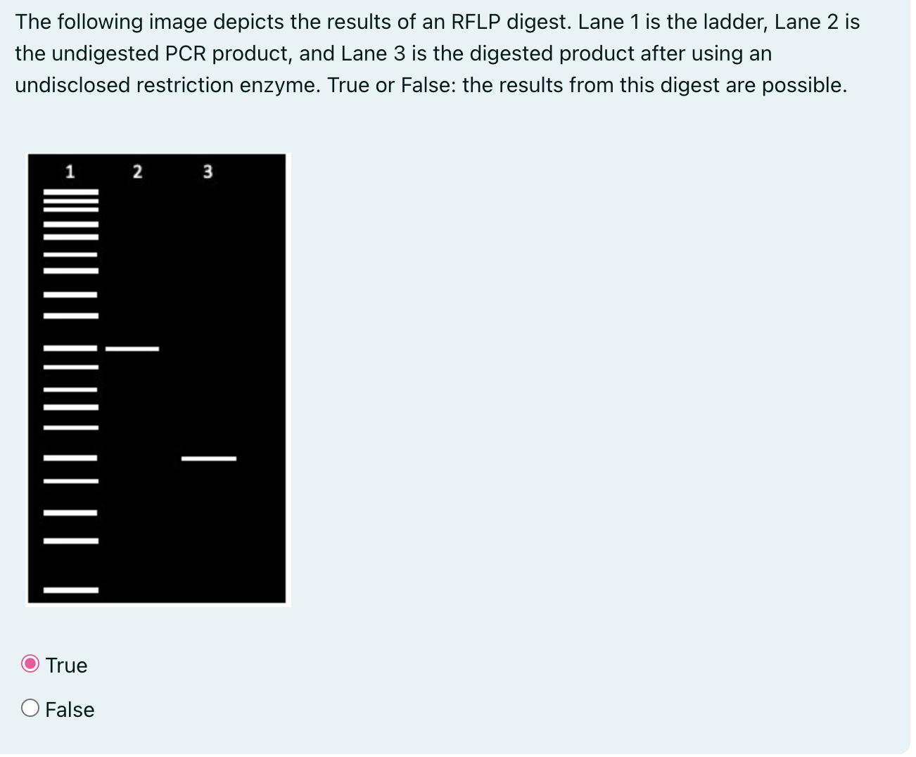Solved The following image depicts the results of an RFLP | Chegg.com