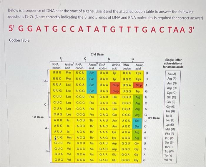 Solved Question 4 Which is the start codon in the mRNA? | Chegg.com