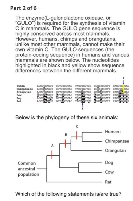 Part 2 of 6 The enzyme(L-gulonolactone oxidase, or | Chegg.com