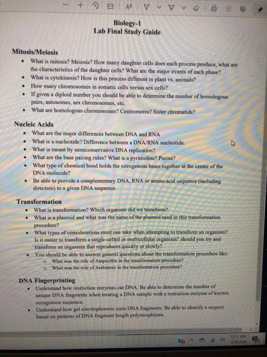 Solved - + B AY Biology-1 Lab Final Study Guide . . | Chegg.com