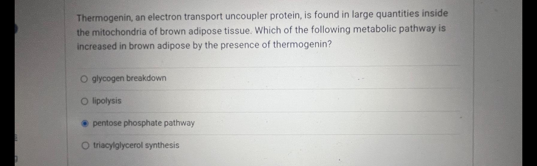 Solved Thermogenin, an electron transport uncoupler protein, | Chegg.com