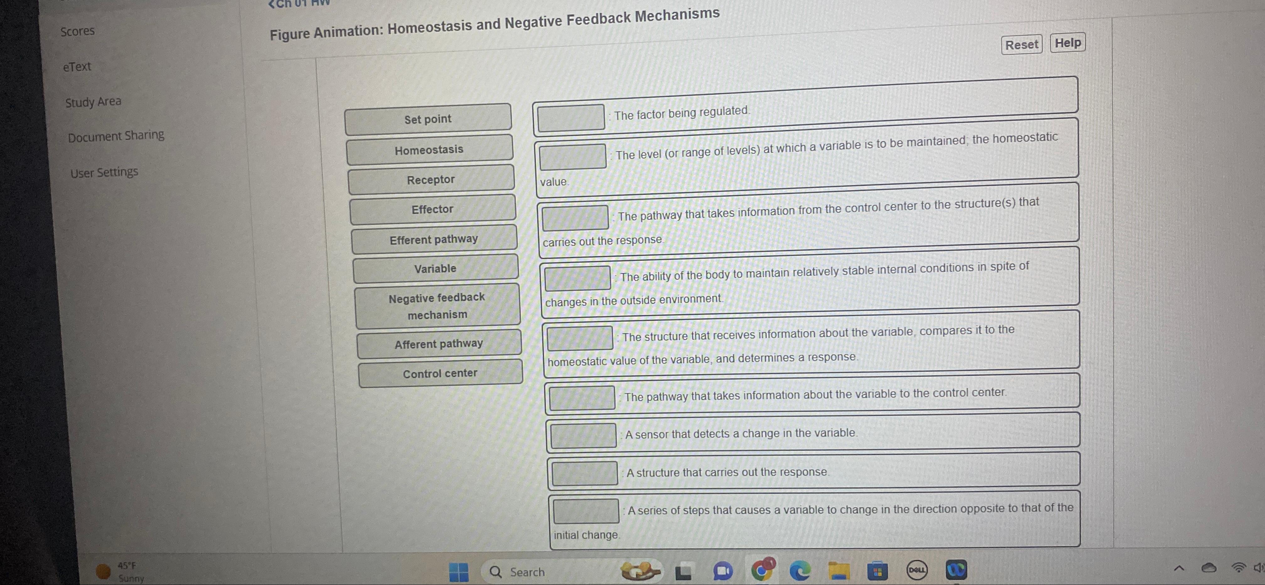 Solved ScoreseTextStudy AreaDocument SharingUser | Chegg.com