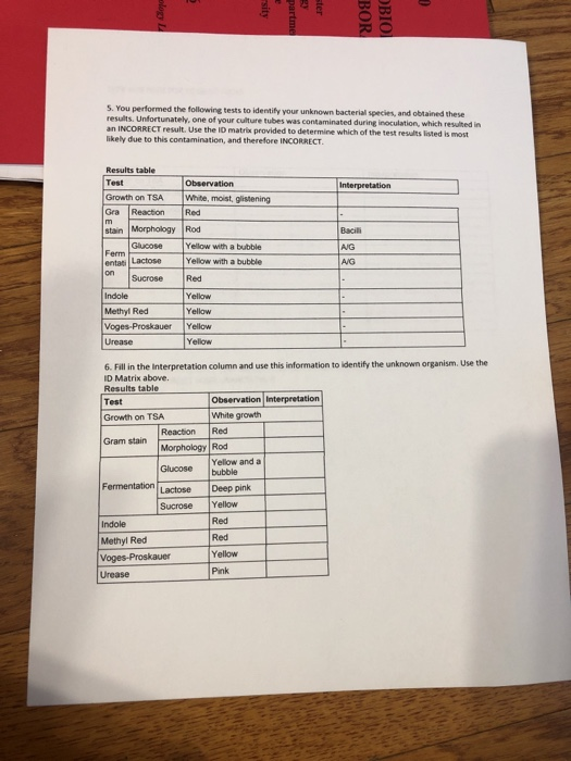 Solved Prelab Exercises for Unknown Labs 1. List the first | Chegg.com