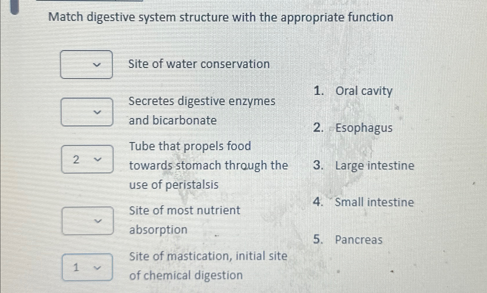 Solved Match digestive system structure with the appropriate | Chegg.com