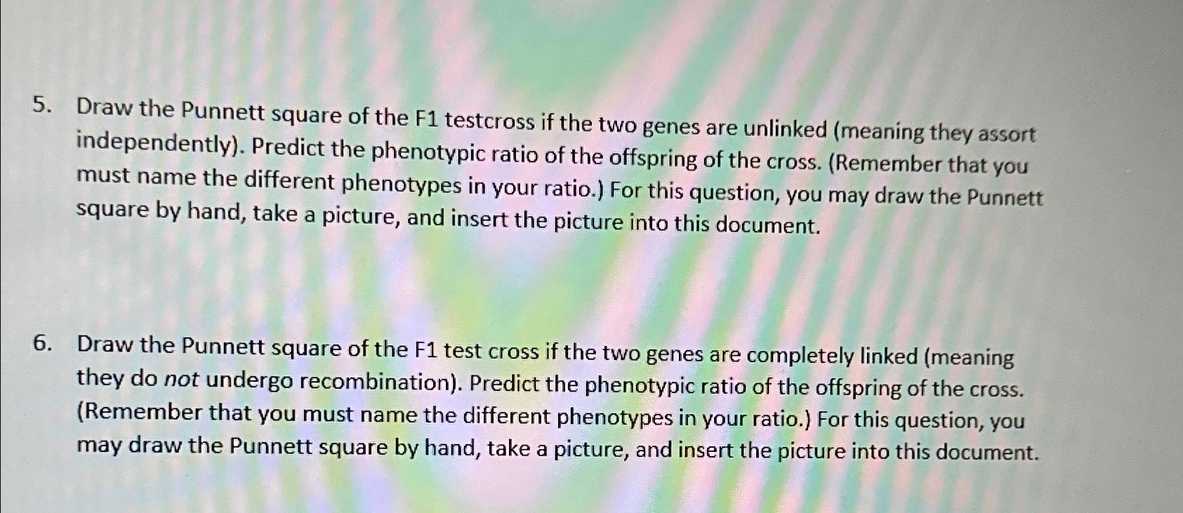 Solved Draw the Punnett square of the F1 ﻿testcross if the | Chegg.com