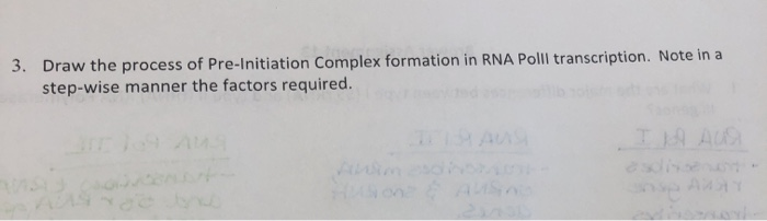 Solved 3. Draw the process of Pre-Initiation Complex | Chegg.com