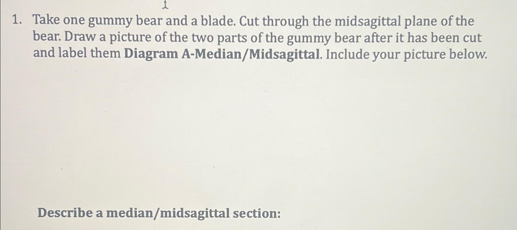 Solved Take one gummy bear and a blade. Cut through the | Chegg.com