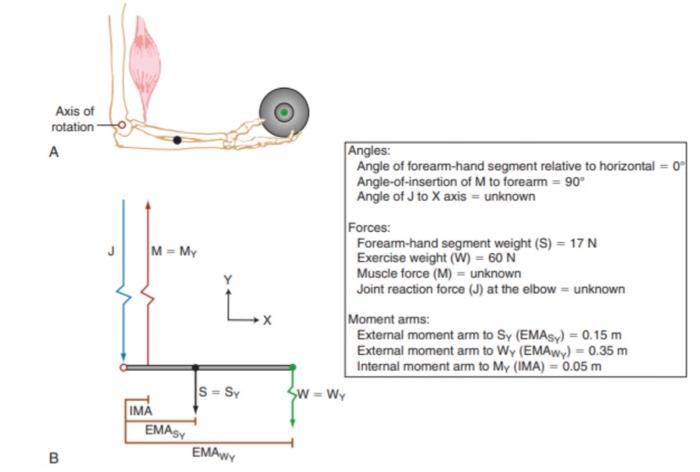 Solved Axis of rotation A Angles: Angle of forearm-hand | Chegg.com
